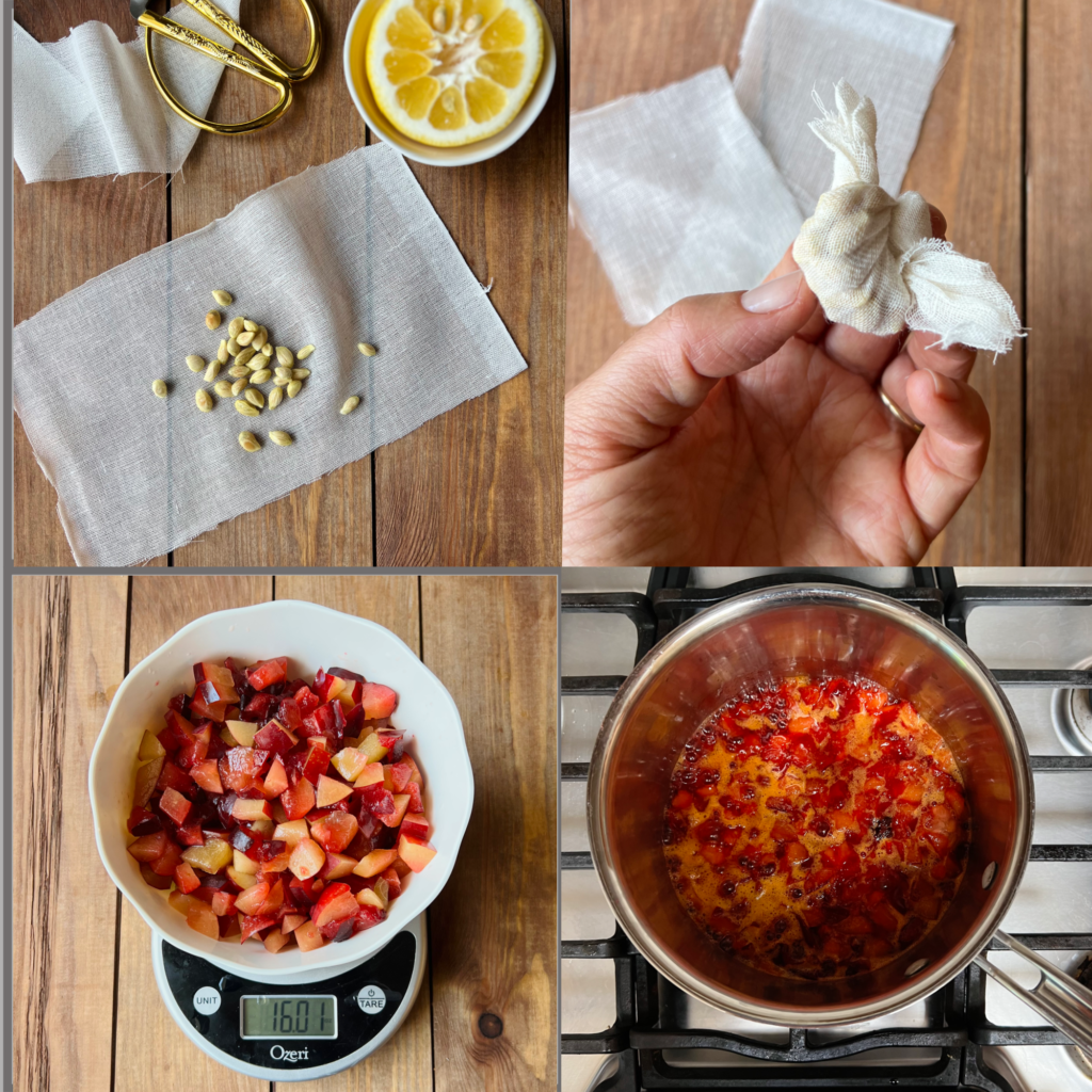 Quick & Easy Plum Jam (low sugar/DIY pectin) - Inspired Edibles